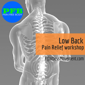 Pain Free Low Back – EFFORTLESS MOVEMENT